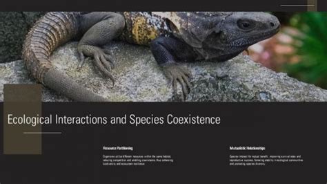 Species Interaction Powerpoint Presentation And Slides Ppt Presentation