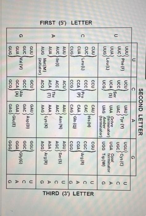 Solved Step 1 The Following Table Shows A Partial Dna