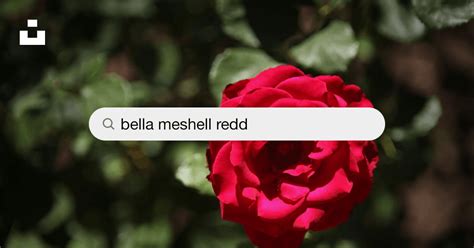Bella Meshell Redd Pictures Download Free Images On Unsplash