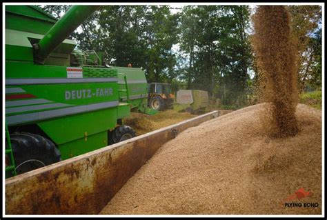 Manuel Belleli Posted On Linkedin