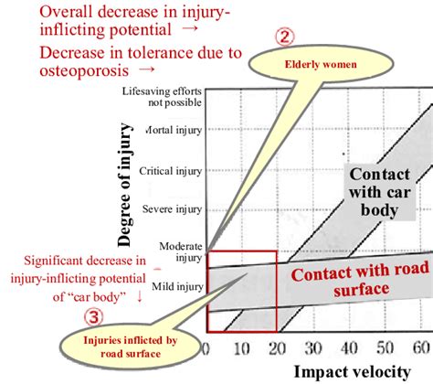 Shows The Typical Collision Behavior Regarding Pedestrians In A Time