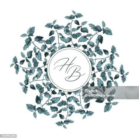멜리사 Officinalis 나뭇 가지와 잎의 둥근 프레임 흰색에 고립 단색 청록색 레몬 밤 허브 화환 수채화 일러스트 0명에