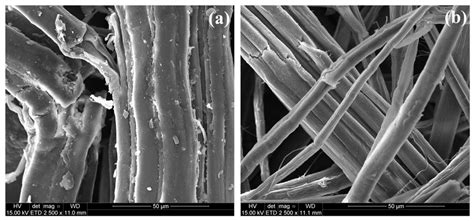 Jute Fiber Microscope Fabrication Of Woven Jute Fiber Epoxy