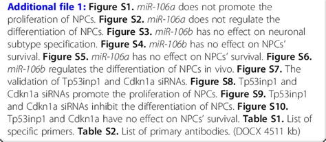 Abbreviations Cns Central Nervous System Div Days In Vitro Gof