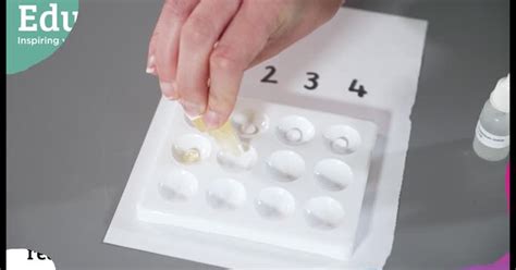 [video] Royal Society Of Chemistry On Linkedin Halogen Displacement