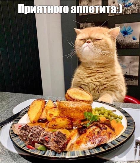 Создать мем "Приятного аппетита:) (Кошка, котики, коты)" - Картинки ...