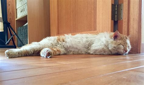 そよ風に吹かれて 田舎女 ぽこ のなんてことはない日々