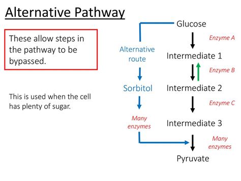 higher human biology subtopic 6 a ppt download