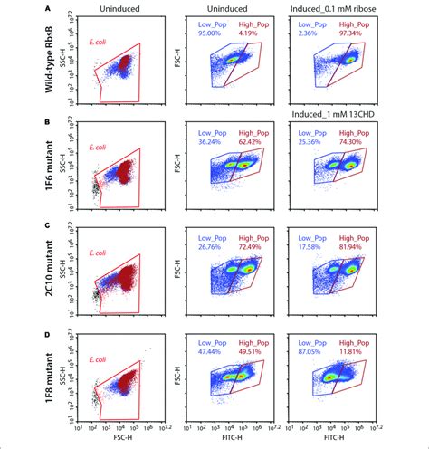 Dt038 Derivative Mutants Displaying Subpopulations With Two