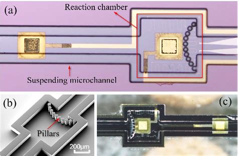 Figure 1 From A Fully Packaged Microfluidic Thermal Biosensor Designed