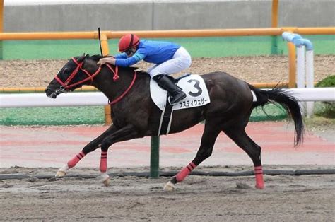 【函館新馬戦】ナスティウェザー圧逃佐々木「余力があったし距離が延びても大丈夫」 競馬ニュース Netkeiba