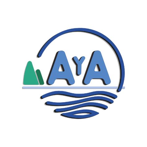 Servicios AyA Apps On Google Play