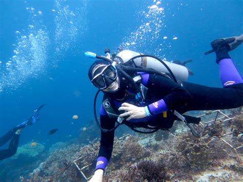 Meet Dr Helen Fox Leading With Science And Heart January 2025