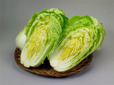 [눈]대한민국 배추가 왜 Chinese Cabbage 노컷뉴스