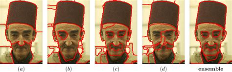 A Segmentation Ensemble On An Image From The Berkeley Segmentation