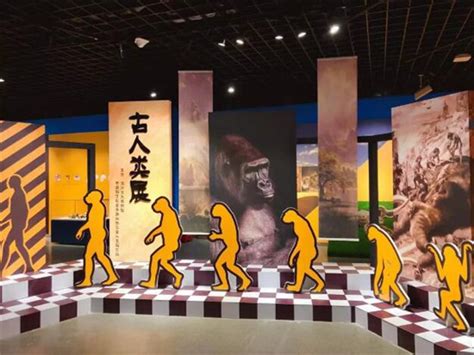 我们是谁我们从哪里来？这个展带你探寻人类起源的故事 中国网