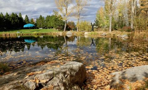 Externalizing The Problem And Integration Of Self Evolution Counseling