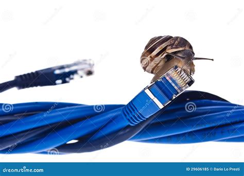 Slow Lan Stock Image Image Of Lame Plug Download Inefficent 29606185