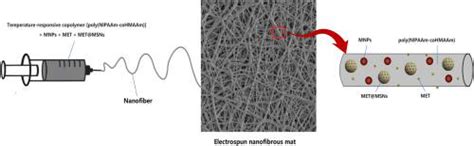 Biomaterials Advances X Mol