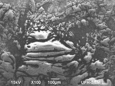 Sem Images Showing Micro Fractures In The Dolerite Figure 10 Sem