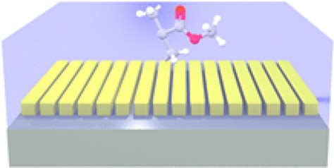 Vibrational Strong Coupling With Surface Plasmons And The Presence Of Surface Plasmon Stop Bands