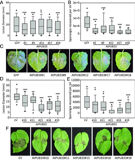 Transgenic Plants Overexpressing Atpub33 Show Increased Resistance To