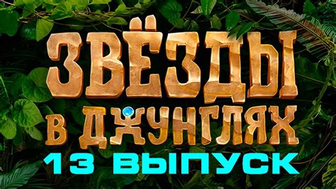 Звезды в джунглях 13 выпуск рутуб смотреть видео онлайн от «Звезды в