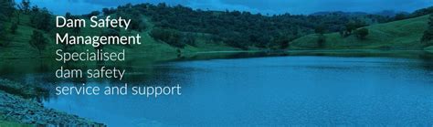Dam Safety Reeves Group Services