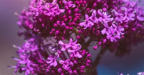 Why Do These Colors Hurt My Eyes So Much Album On Imgur
