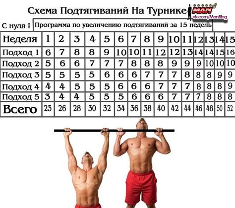 Подтягивание на турнике программа тренировок для начинающих с нуля Как