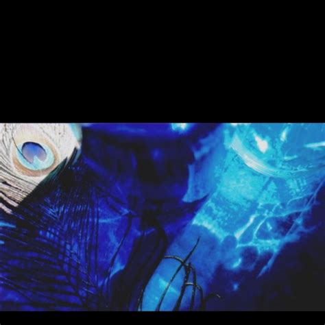 Peacock And Blue Art Concert Peacock