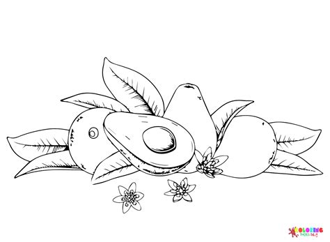 Avocado Color Sheets Coloring Page Free Printable Coloring Pages