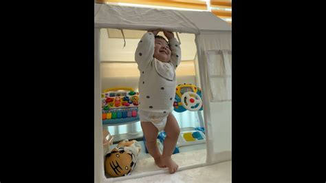 아빠 부르는 아기 오랑우탄 ️ ️ Youtube