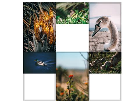 Html Different Height And Position For Col In Bootstrap Stack Overflow