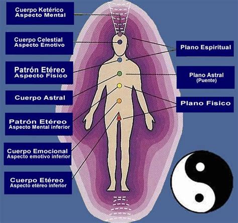 LOS SIETE CHAKRAS CON SUS 7 CAPAS Y SUS COLORES SON LOS SIGUIENTES