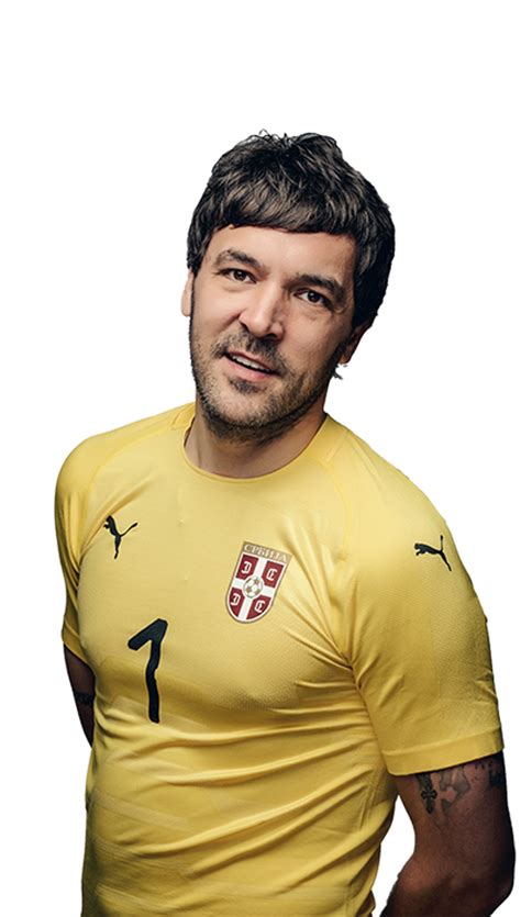 Владимир Стојковић Фудбалски савез Србије