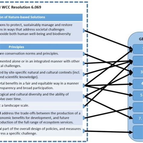 Link Between The Nbs Principles And The Nbs Standard Criteria Iucn