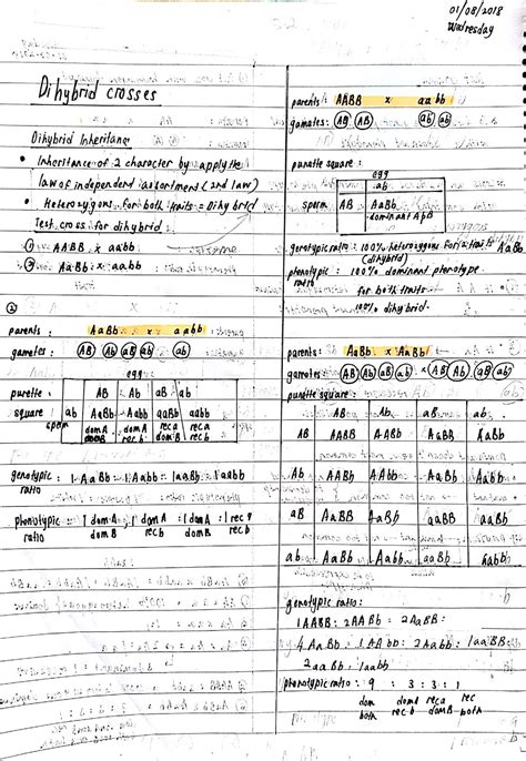 Biology Notes Semester 2 MINE For MUFY