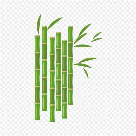 Png Png