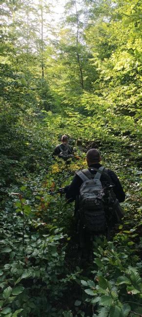 Военнослужещи от 61 а Стрямска механизирана бригада на СВ участваха в учението Danubian Whisper