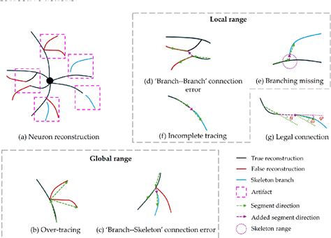 Figure 7 From Complete Neuron Reconstruction Based On Branch Confidence Semantic Scholar