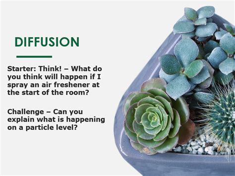 Ks4 Aqa Specification Diffusion Including Lesson Plan Teaching
