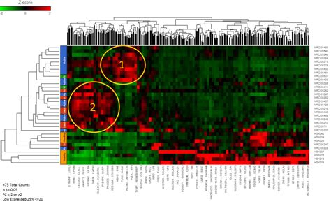Hla Genetic Signatures Associated With Inflammatory Sub Type In