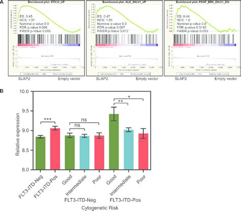 Slap2 Expression Led To Better Survival In Flt3 Itd Positive Aml A