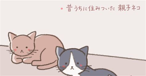 ゆるいイラスト 昔うちで飼ってたネコたち Komikan683のイラスト Pixiv