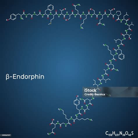 Beta Endorphin Molecule Endogenous Opioid Neuropeptide And Peptide