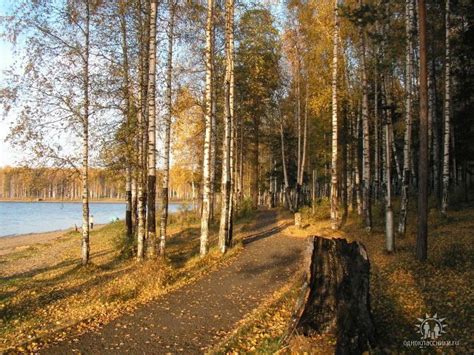 Осень в Качканаре