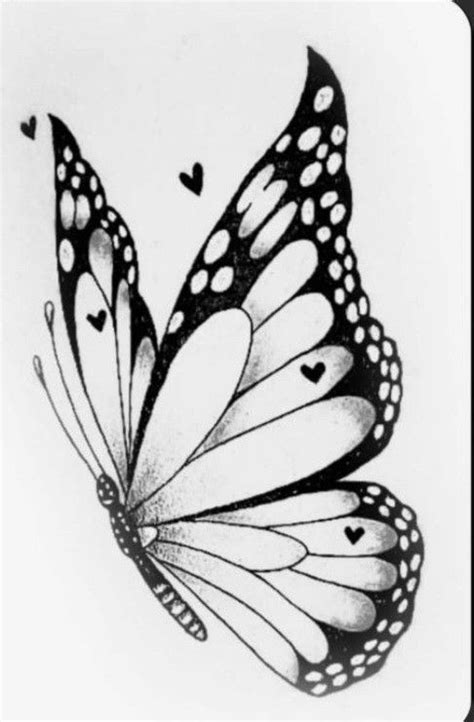 Pin By Amy V Murray On Tat Ideas Butterfly Art Drawing Butterfly
