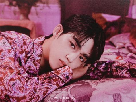 Scoups 세븐틴 정한 너구리