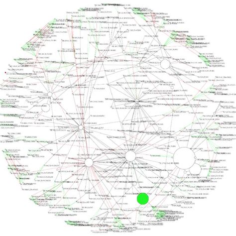 The Second Largest Cluster In The Graph This Cluster Is Mainly